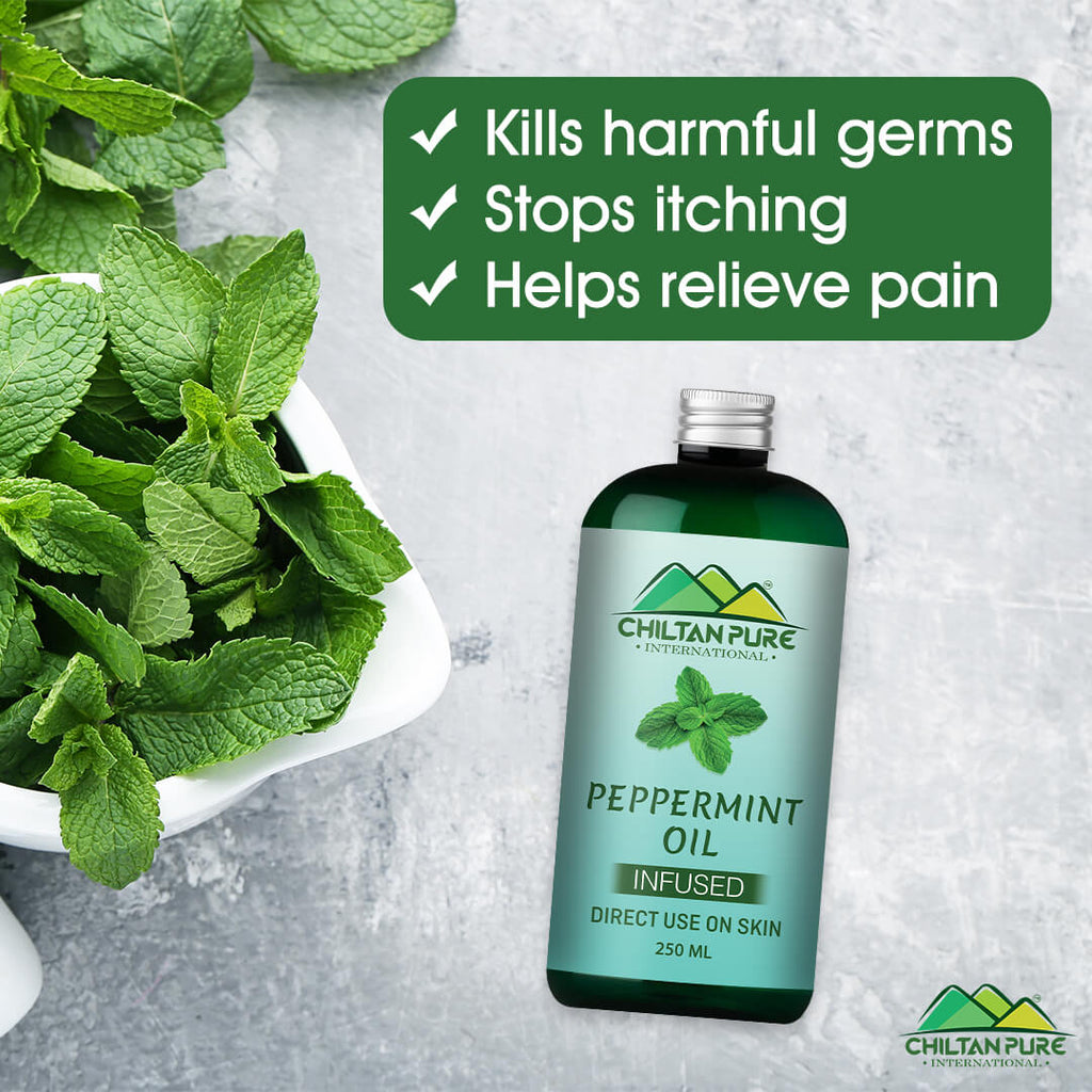 Buy Peppermint Infused Oil at Best Price in Pakistan - ChiltanPure ...