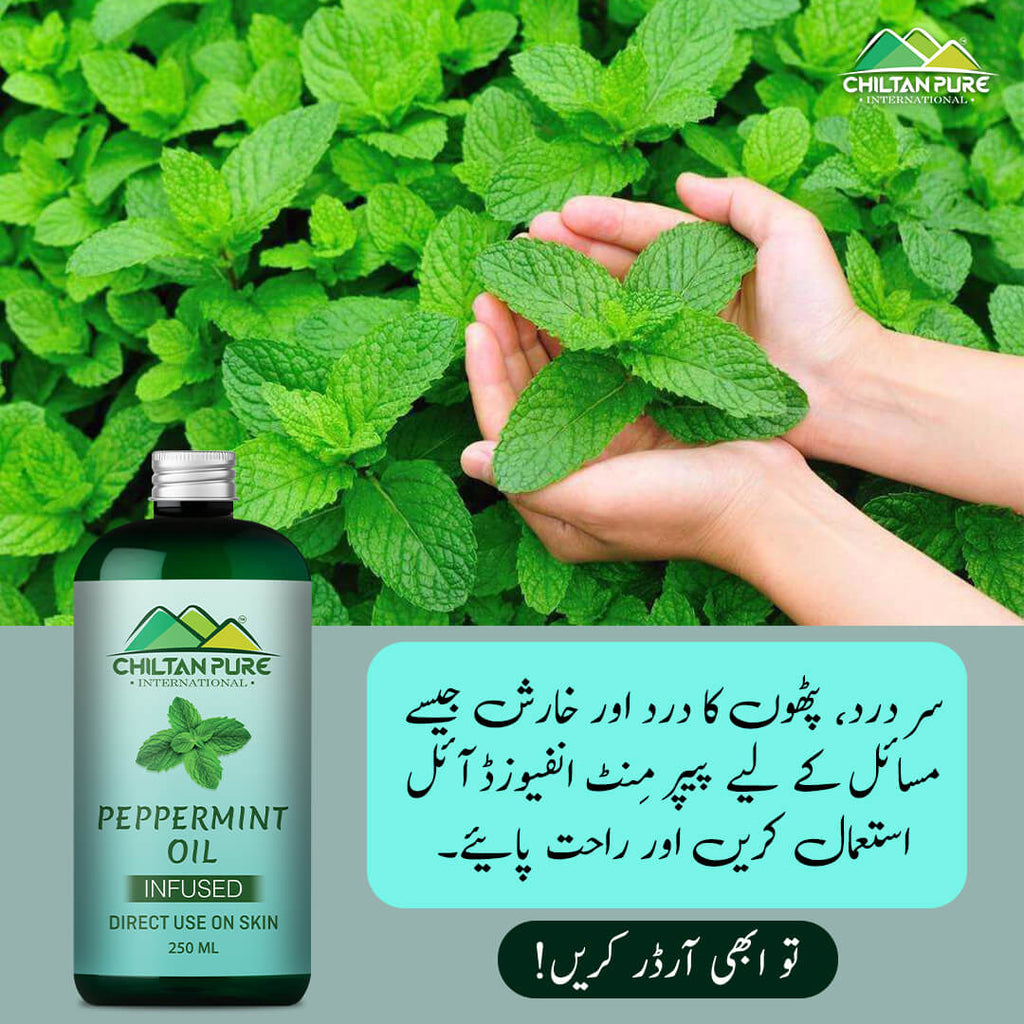 Buy Peppermint Infused Oil at Best Price in Pakistan - ChiltanPure ...