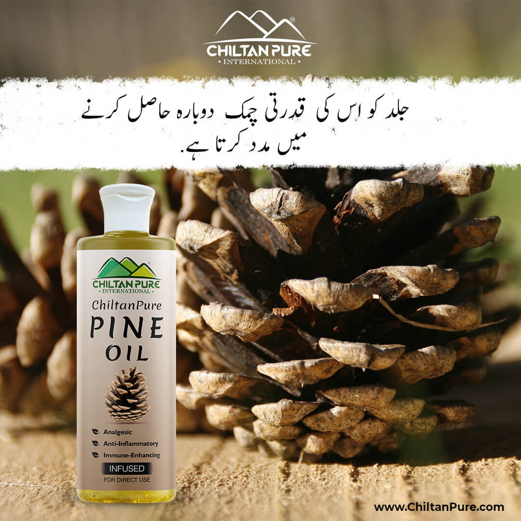 Pine Infused Oil – Decongestant, Circulation-Stimulating & Immune-Enha ...